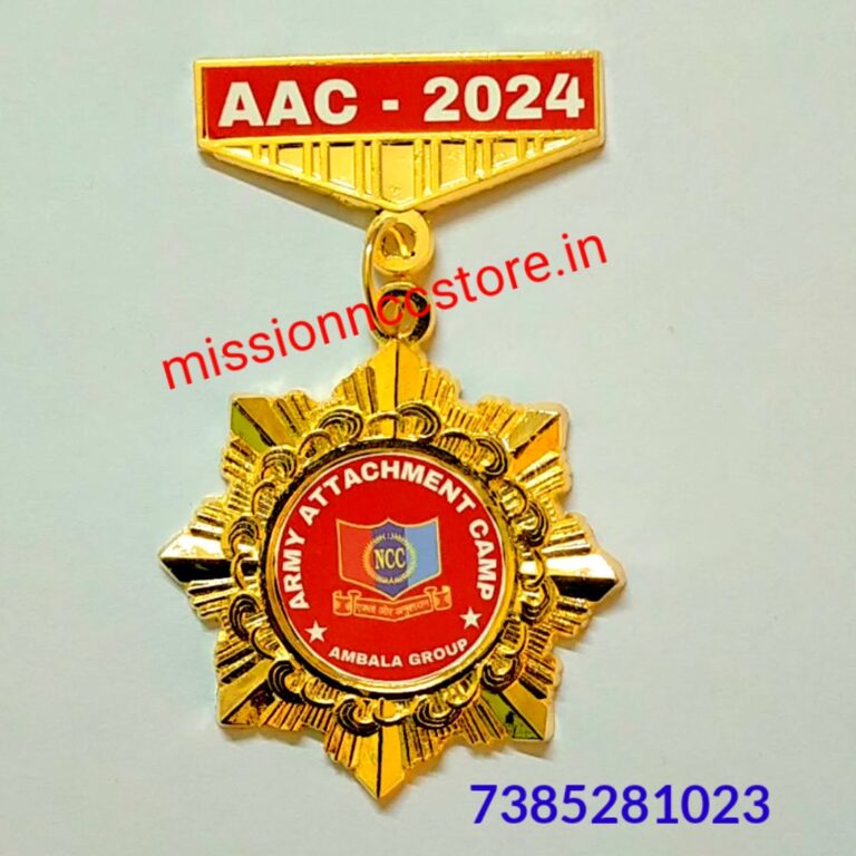 Army Attachment Camp Badge Ambala Group 2024 | Army Attachment Camp ...